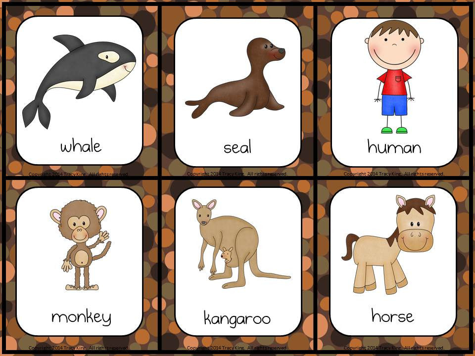 Rap It, Clap It, Music Match It: Mammals Edition – The Bulletin Board Lady